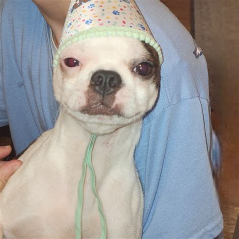 Cacy Band In Badin Lake Nc