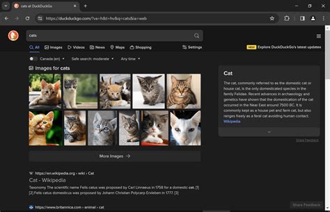 Ddg Needs To Make The Scrollbar Dark For Chromium Browsers See My Comment Rduckduckgo
