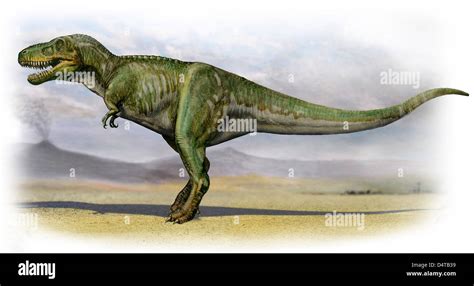 Tarbosaurus Bataar A Prehistoric Era Dinosaur From The Late Cretaceous