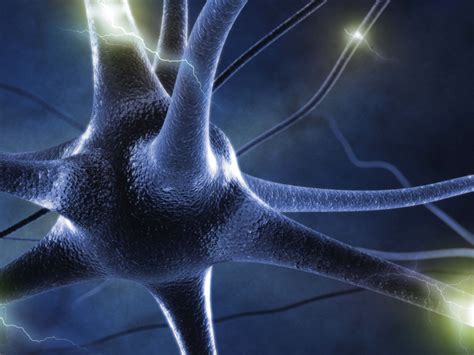 Chemistry Of The Brain Neurotransmitters Bca Chemistry