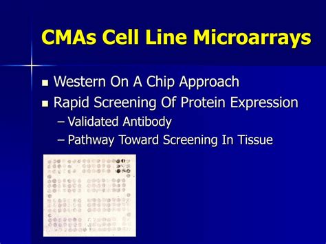 Ppt Tissue Microarrays In Biomarker Discovery And Development Powerpoint Presentation Id 4518003