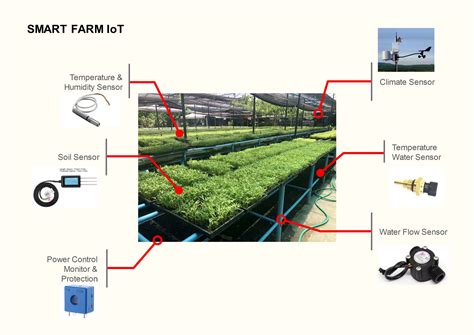 smart farm s group innovation co ltd