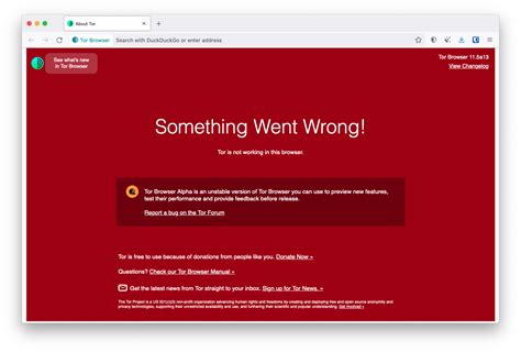 Error Warning Shows Up Randomly Although Tor Browser Seems To Be Working Fine And Is Connected