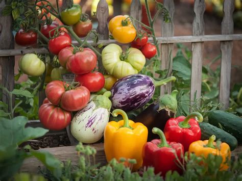 10 Heirloom Vegetables To Grow Best Heritage Garden Guide