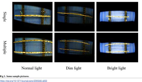 Figure 1 From Sugarcane Stem Node Identification Algorithm Based On