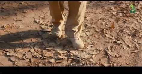 Sameen Fatima On Linkedin Salam Everyone I Hope This Message Finds