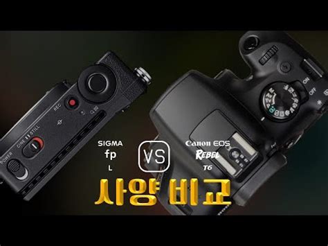 Sigma fp L 와 Canon EOS Rebel T6 의 사양 비교 - YouTube