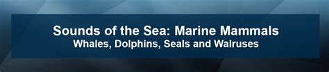 Marine Mammals