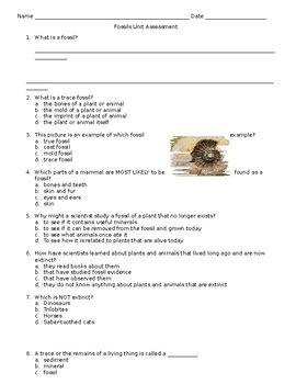 Fossils Test By Catherine Delaney Teachers Pay Teachers