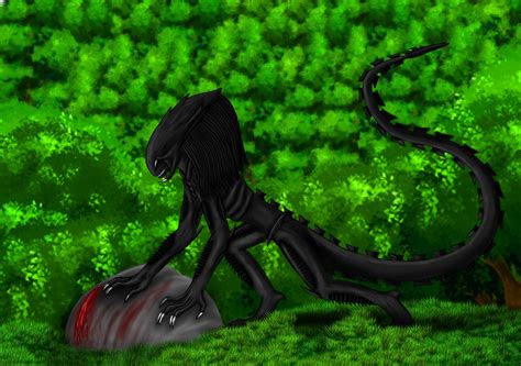 Predalien By Xerapredalien On Deviantart