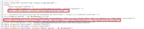 Cómo Evitar El Duplicado De Las Etiquetas Meta Robots De Wordpress Actualizado Ayuda Wordpress
