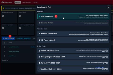 1 Run Pentest And Select Internal Pentest