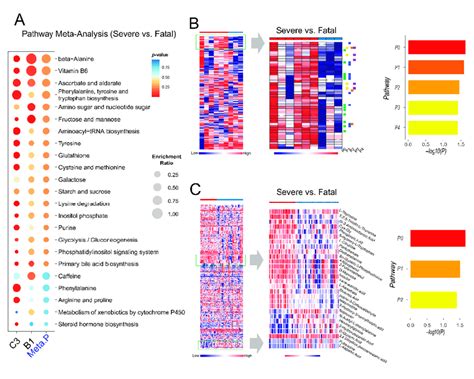 Pathway Analysis And Cluster Heatmap Analysis Between Severe And Fatal