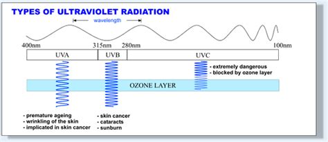 Figure 12 Types Of UV Radiation Excelite Pool