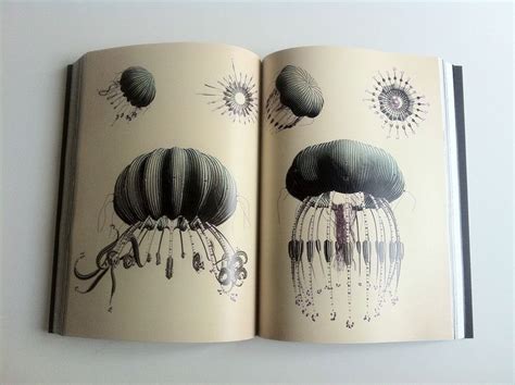 Variable Written Images Cindermedusae Data Driven Art And