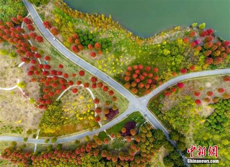 金秋美如画 打卡各地绚丽秋景 搜狐大视野 搜狐新闻