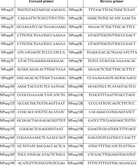 3 Primer Sequences For Single Nucleotide Polymorphism Markers