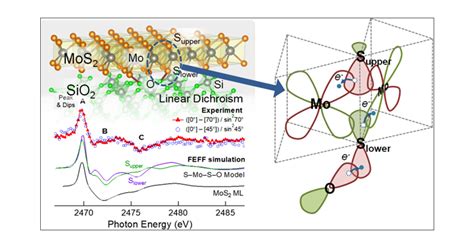 Direct Evidence Of Electronic Interaction At The Atomic Layer Deposited Mos2 Monolayer Sio2