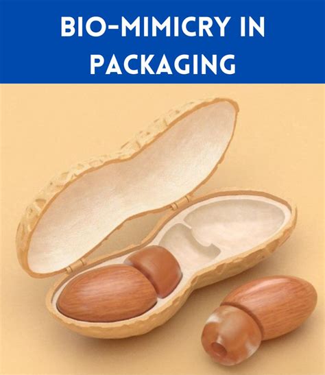 How Biomimicry Can Revolutionize Packaging Design Bhupesh Mittal