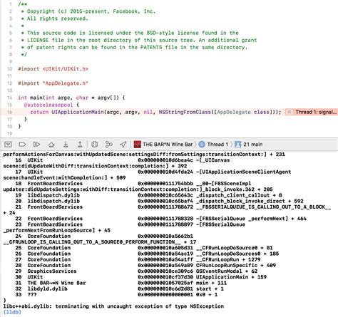Iphone I Have An Error In Mainm Thread 1 Signal Sigabrt How Can I