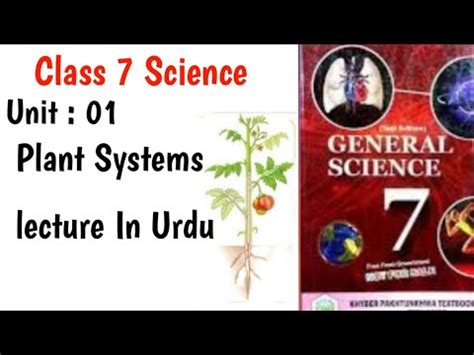 Class 7 General Science Lesson 1 Plant Systems New Edition