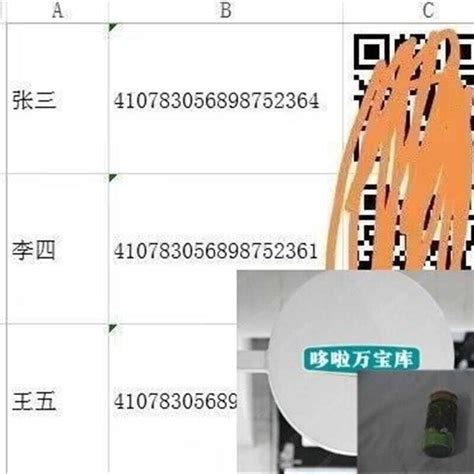 Batch Generation Of Qr Codes Recognition And Printing Software Plugin