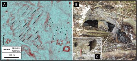 surface evidence of the subsurface fracture system a rrim showing