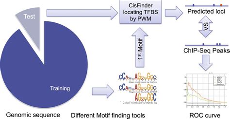 The Diagram Of Pipeline For Parameter Optimization And Method Download Scientific Diagram