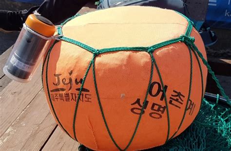 제주해녀 5년간 104건 안전사고…심정지 가장 많아 연합뉴스