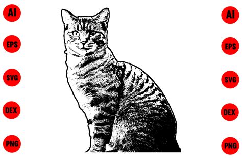 Cat Silhouette Graphic By Creative Shop · Creative Fabrica