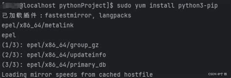 【centos】深度解析：centos下安装pip的完整指南centos 安装pip Csdn博客
