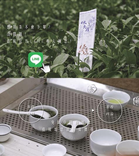 茶香四溢 ‖ 杉林溪 羊仔灣烏龍茶 生茶烏龍高海拔台灣茶 蝦皮購物