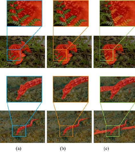 Figure 1 From Camouflaged Object Segmentation Based On Joint Salient