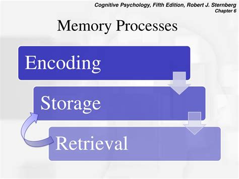 Ppt Chapter 6 Memory Processes Powerpoint Presentation Free