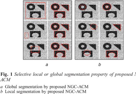 Figure 1 From Graph Cuts Based Active Contour Model With Selective Local Or Global Segmentation