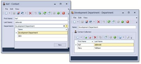Relationships Between Entities In Code And Ui Expressapp Framework Devexpress Documentation