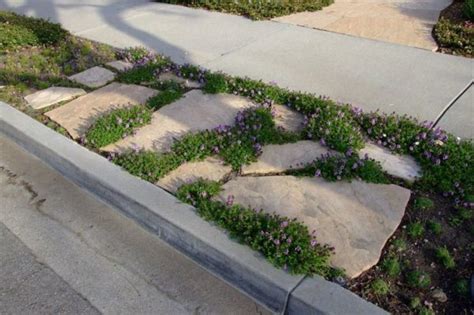 5 Drought Resistant Parking Strip Ideas Big Rock Landscaping