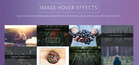 Librerías Css Para Mejorar El Efecto Hover Neoteo