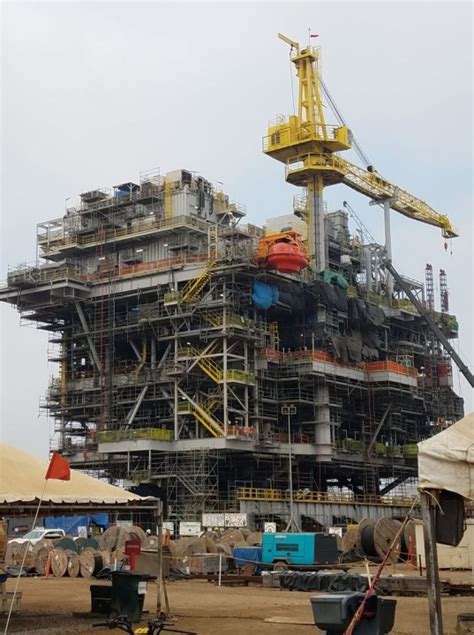 Cassia C Project Bp Tt