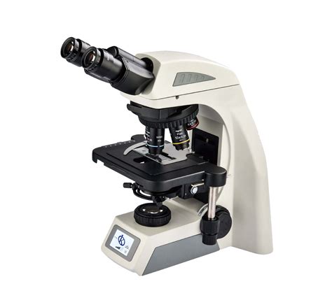 Types Of Microscopes For Laboratory And Field Kalstein