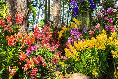 Flowers For My Garden At Michael Tigner Blog