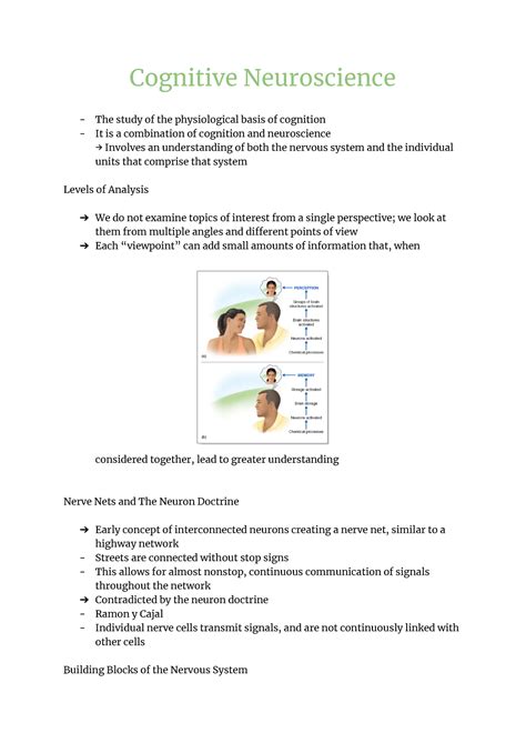Week Notes Week Cognitive Neuroscience The Study Of The Physiological Basis Of