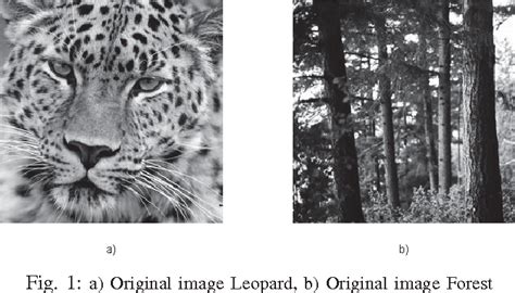 Figure 1 From Compressive Sensing Based Image Watermarking Using Gradient Descent Algorithm