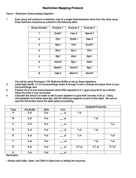 solved restriction mapping protocol part a restriction endonuclease digestion each group will
