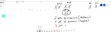Solved Explain The Difference Between A Triploid And A Trisomic Embryo