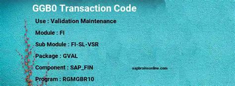 GGB SAP Tcode For Validation Maintenance