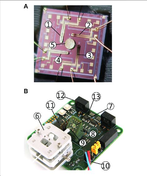 Components Of The Platform A Moems Chip 2 5 × 2 5 Mm 2 Download Scientific Diagram
