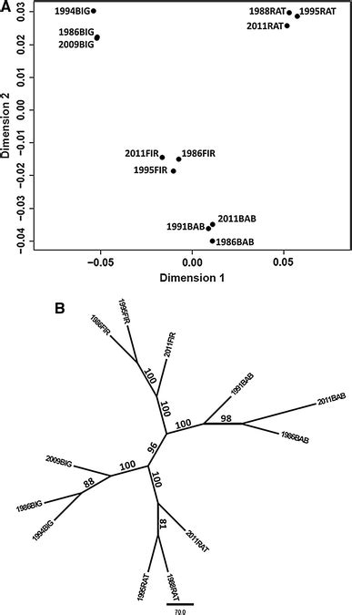 Shown Is The A Multi Dimensional Scaling Plot Based On Fst And The B Nj