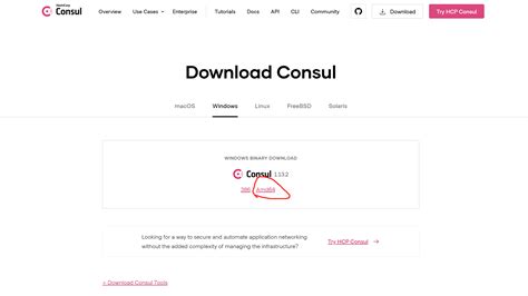 consul consul启动 csdn博客