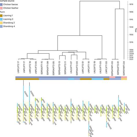 Gene Structure And Evolutionary Analysis Of The Potentially Mobile Arg Download Scientific